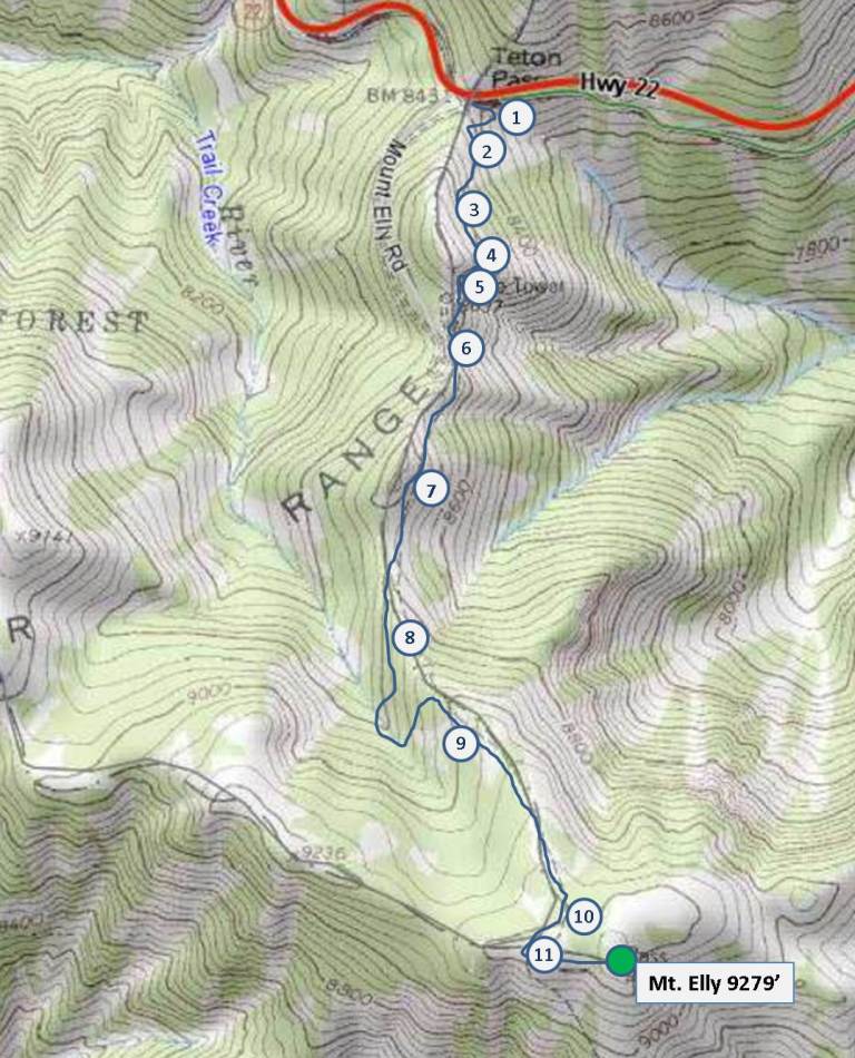 Wildflowers of Teton Pass – July 2020 | Teton Plants